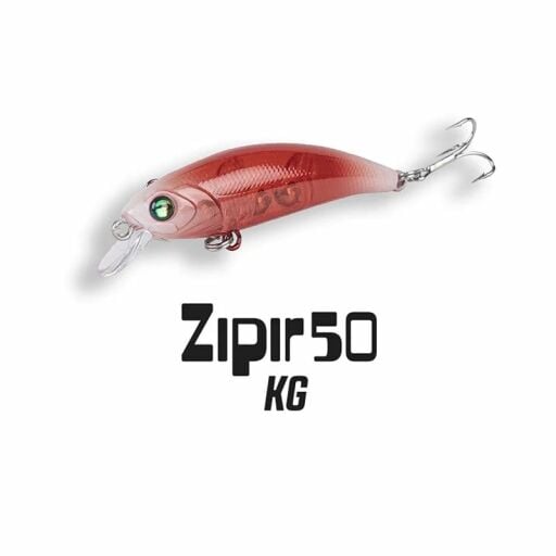 Han Fish Zıpır 50 KG